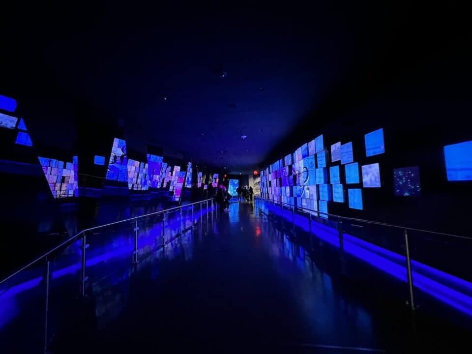 One World Observatory (Freedom Tower) Complete Guide & Review