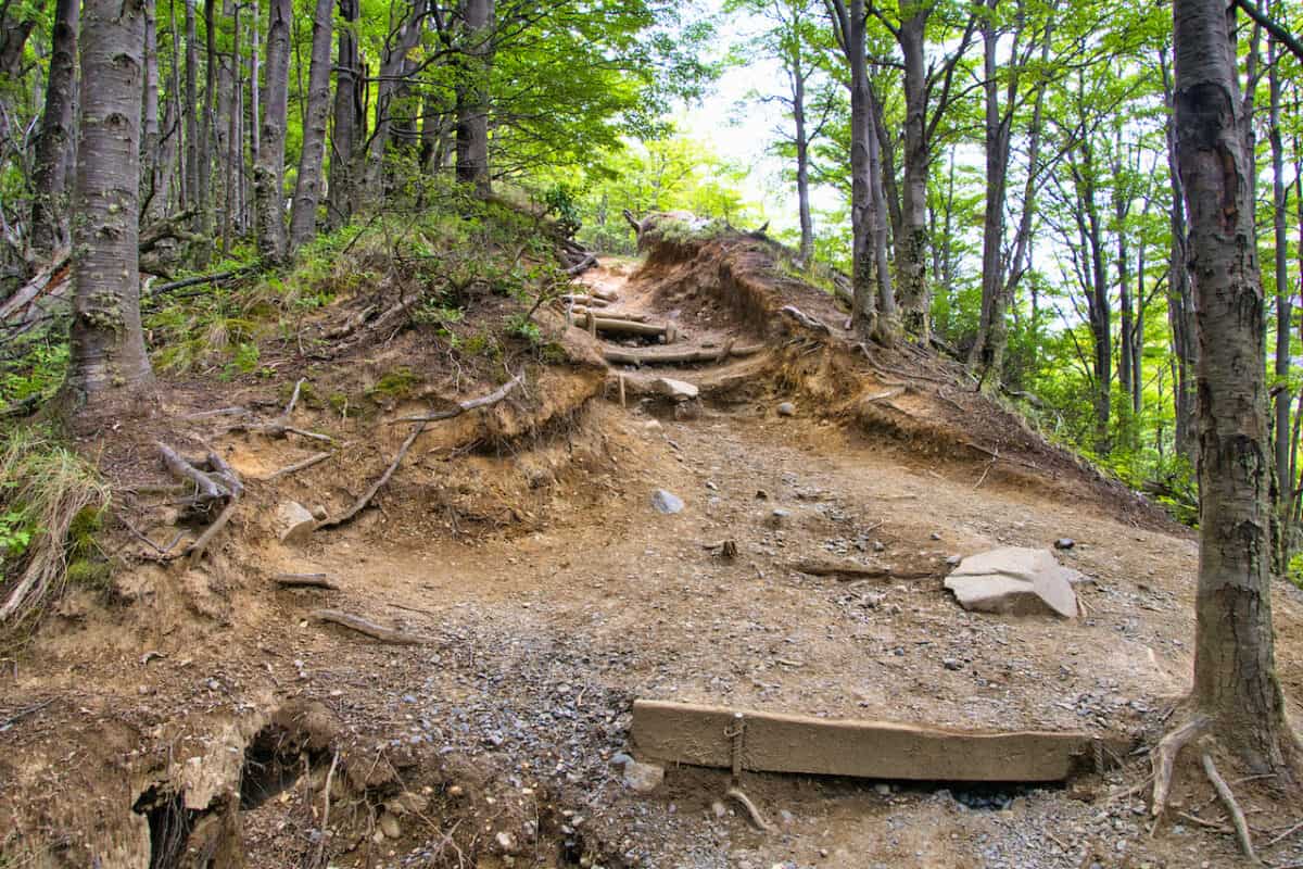 The Stunning Mirador Las Torres Hike (Base of Torres del Paine)