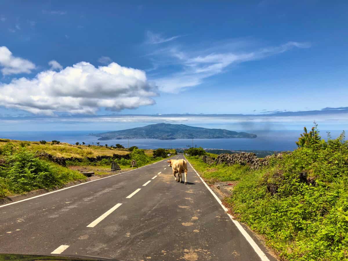 The Azores Islands (Everything You Need to Know for a Trip)