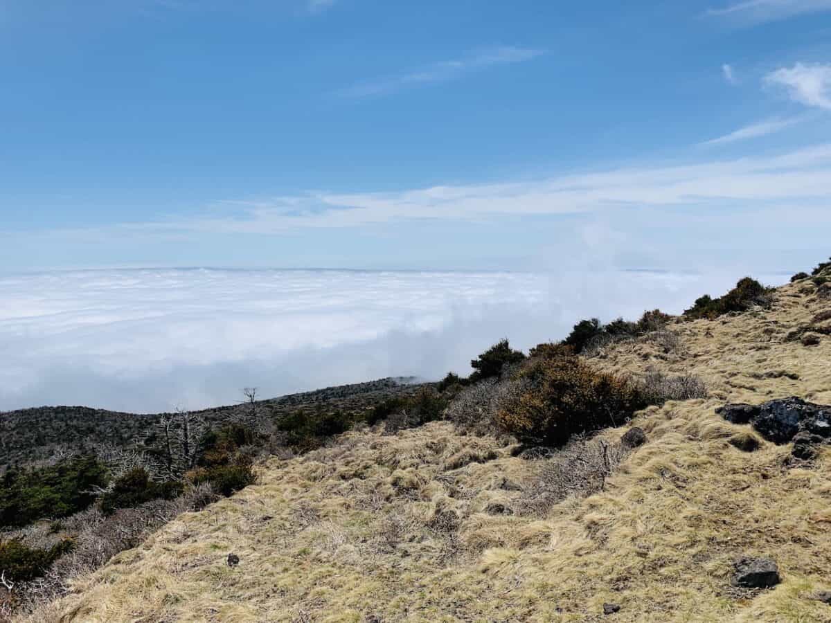 Mount Hallasan Hike of Jeju Island Complete Guide (Top of South Korea)