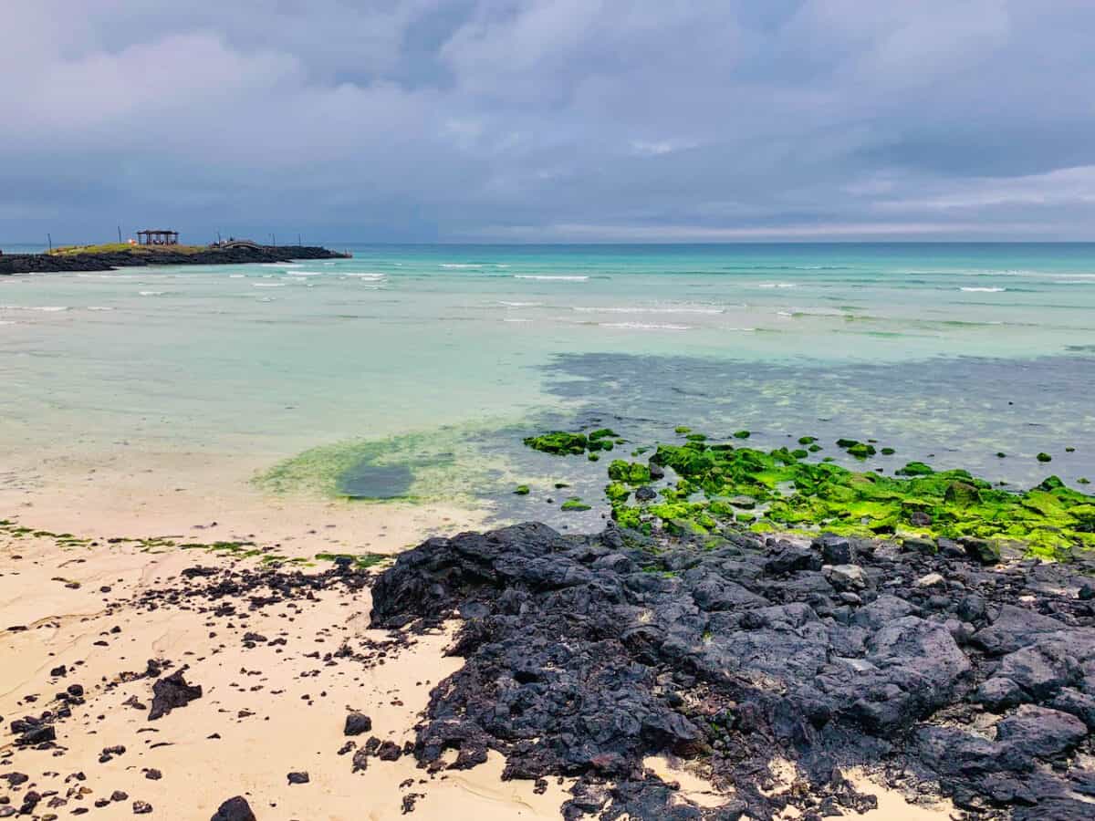 The Beautiful Hamdeok Beach of Jeju Island (Complete Guide)