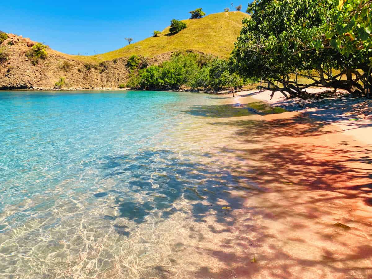 The STUNNING Komodo Island Pink Beach (Labuan Bajo, Indonesia)