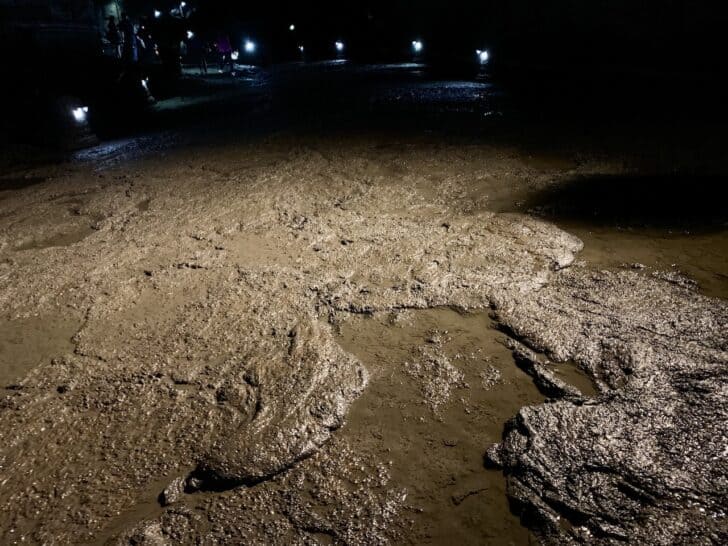 Exploring Manjanggul Cave | Jeju Island Lava Tube Complete Guide