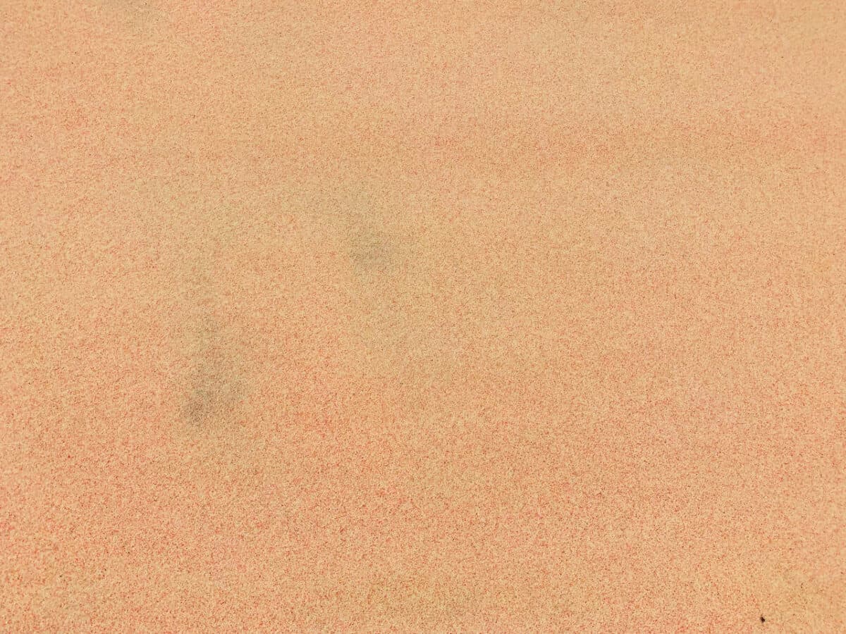 The STUNNING Komodo Island Pink Beach (Labuan Bajo, Indonesia)