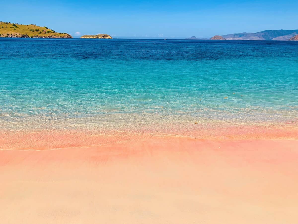 The STUNNING Komodo Island Pink Beach (Labuan Bajo, Indonesia)