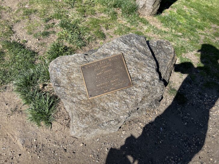 Roosevelt Island Cherry Blossoms (Complete Guide & Map)