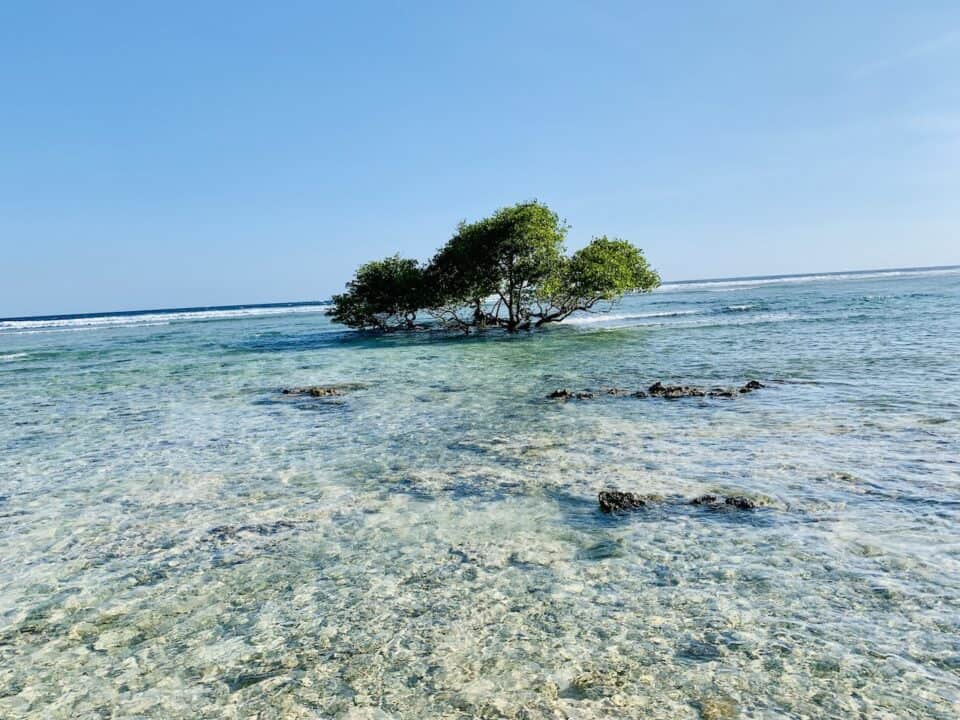 A Complete Gili Trawangan Travel Guide (Gili T Things To Do & Itinerary)