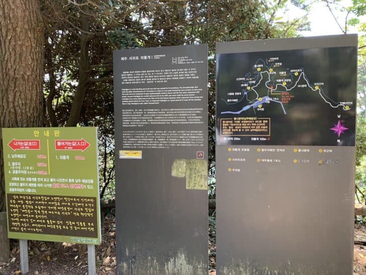 Oedolgae Rock of Jeju Island Complete Guide (Sea Stack Walk)