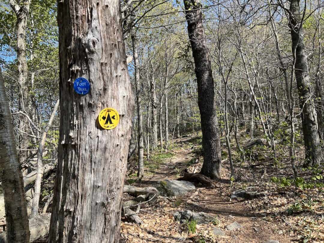 The Beautiful Giant Ledge and Panther Mountain Catskills Hike