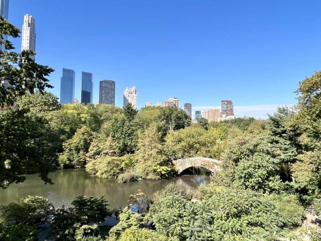 8 Best Central Park Rocks for Views & Hangouts (Umpire, Summit, & More)