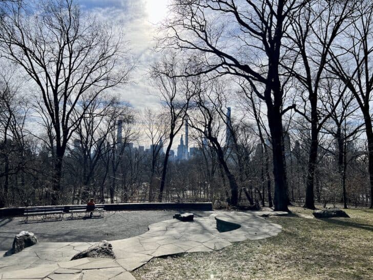 8 Best Central Park Rocks for Views & Hangouts (Umpire, Summit, & More)