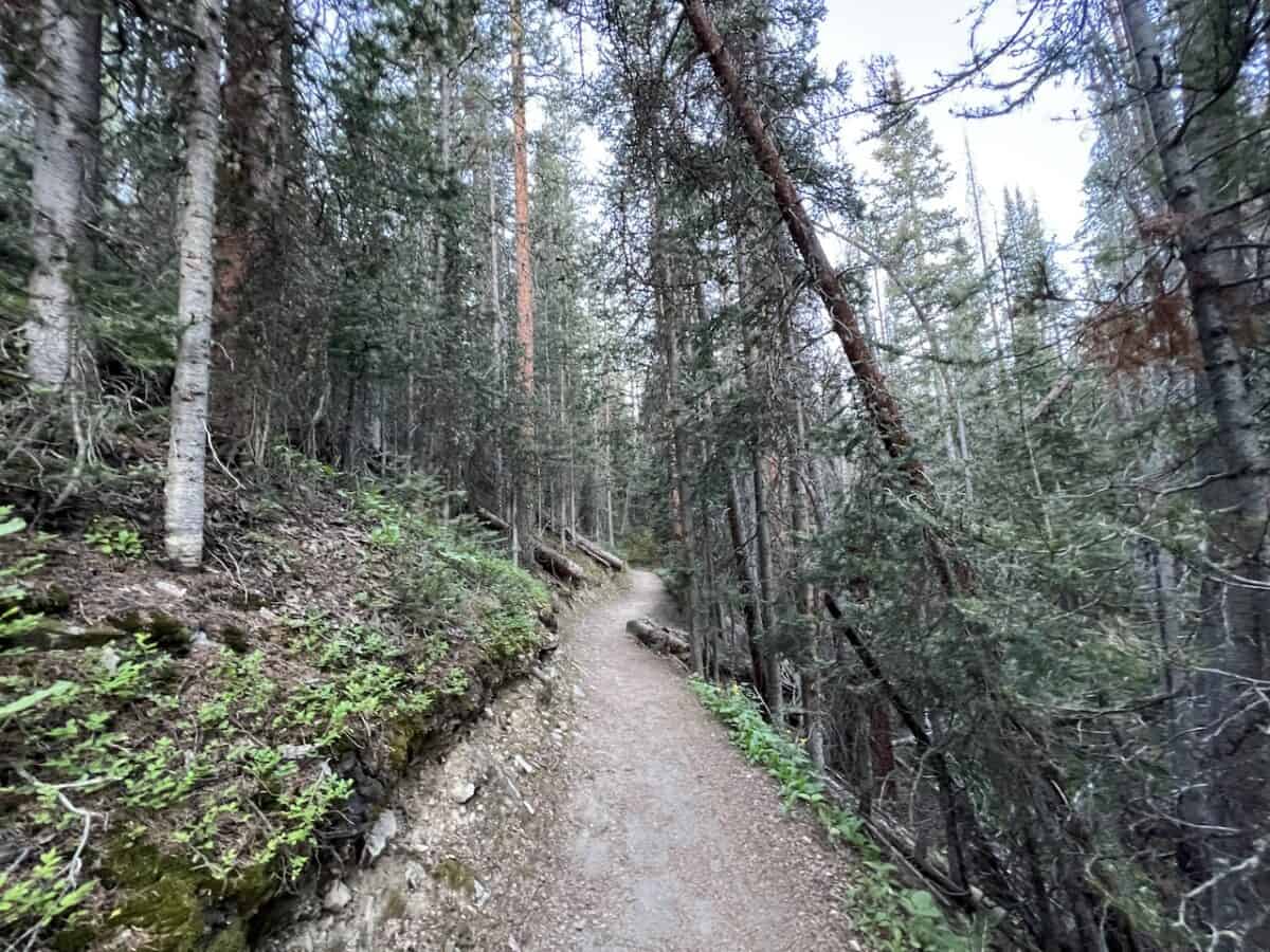 Mount Harvard Hike Complete Guide (Route, Map, Trailhead & More)