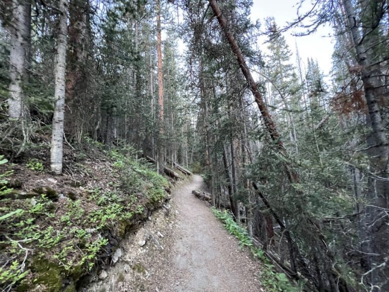 Mount Harvard Hike Complete Guide (Route, Map, Trailhead & More)