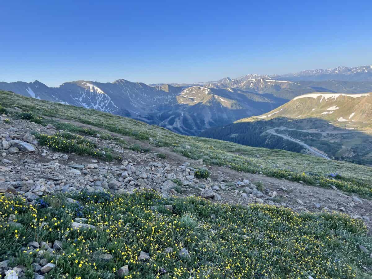 Grizzly Peak Hike of Colorado (and Cupid Peak) | Complete Trail Overview