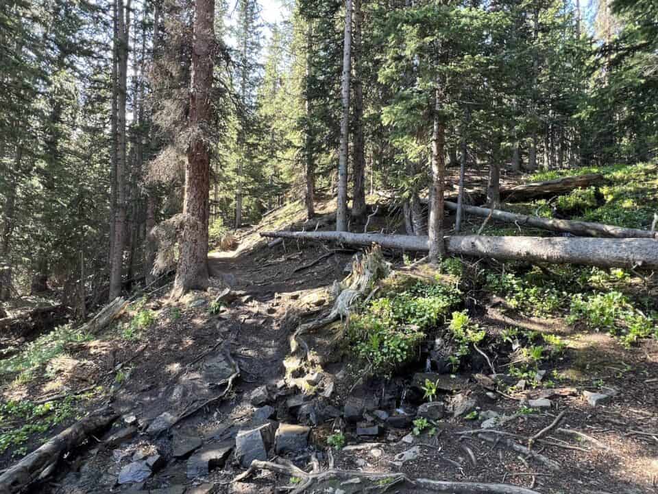 Hiking the Silver Dollar Lake Trail (with Murray Lake & Naylor Lake)