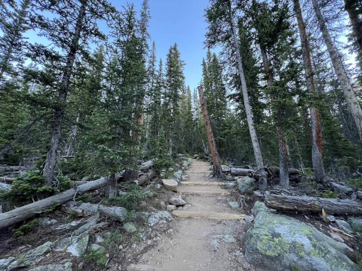 Mount Harvard Hike Complete Guide (Route, Map, Trailhead & More)