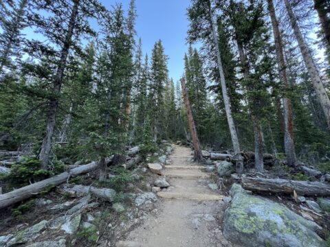 Mount Harvard Hike Complete Guide (Route, Map, Trailhead & More)