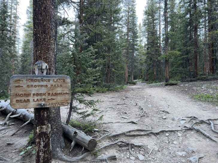 Mount Harvard Hike Complete Guide (Route, Map, Trailhead & More)