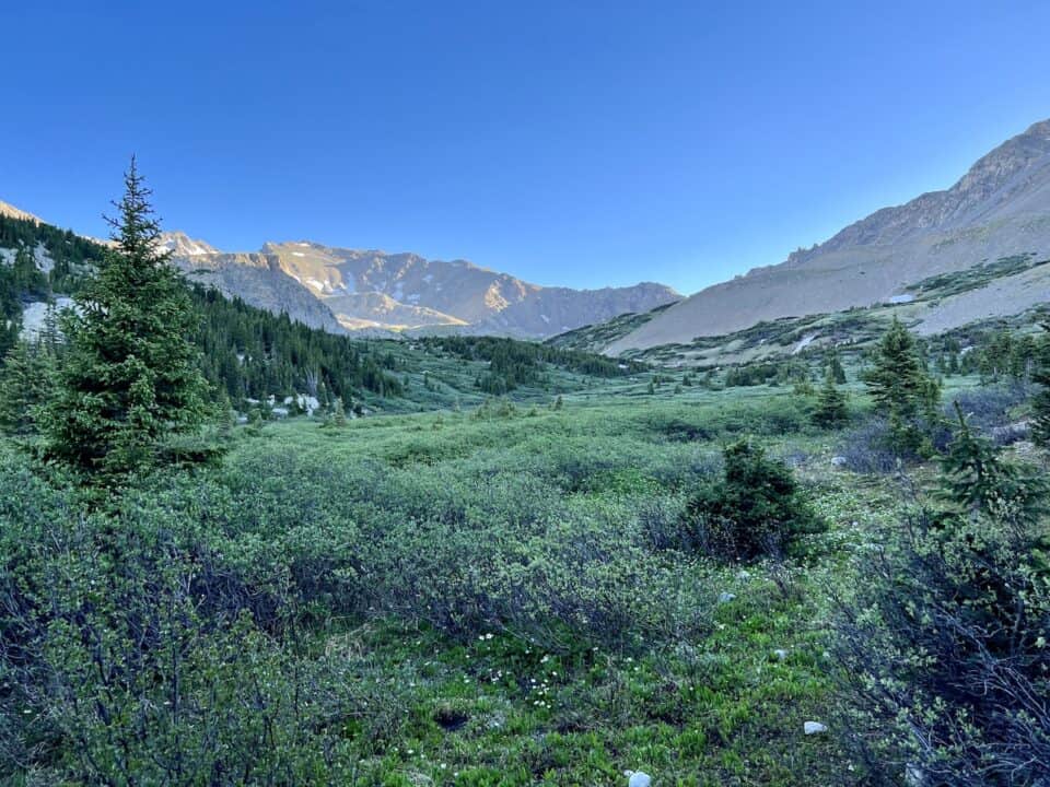 Mount Harvard Hike Complete Guide (Route, Map, Trailhead & More)