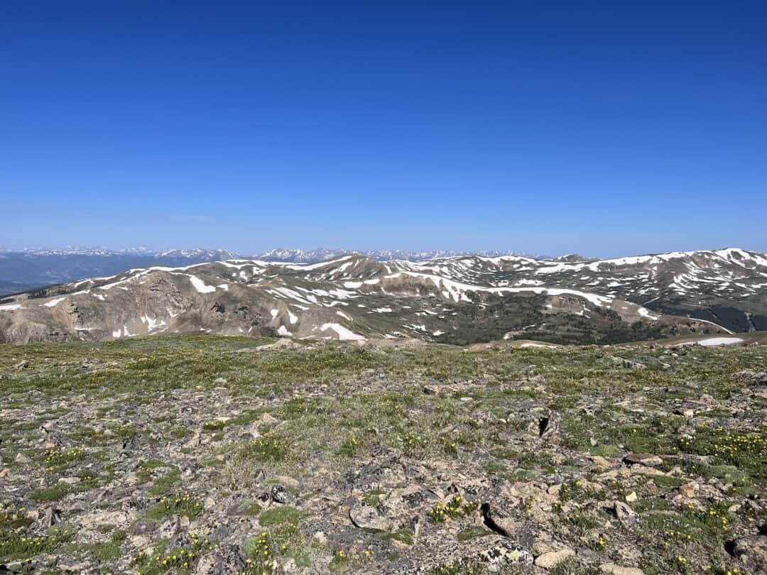 Grizzly Peak Hike of Colorado (and Cupid Peak) | Complete Trail Overview