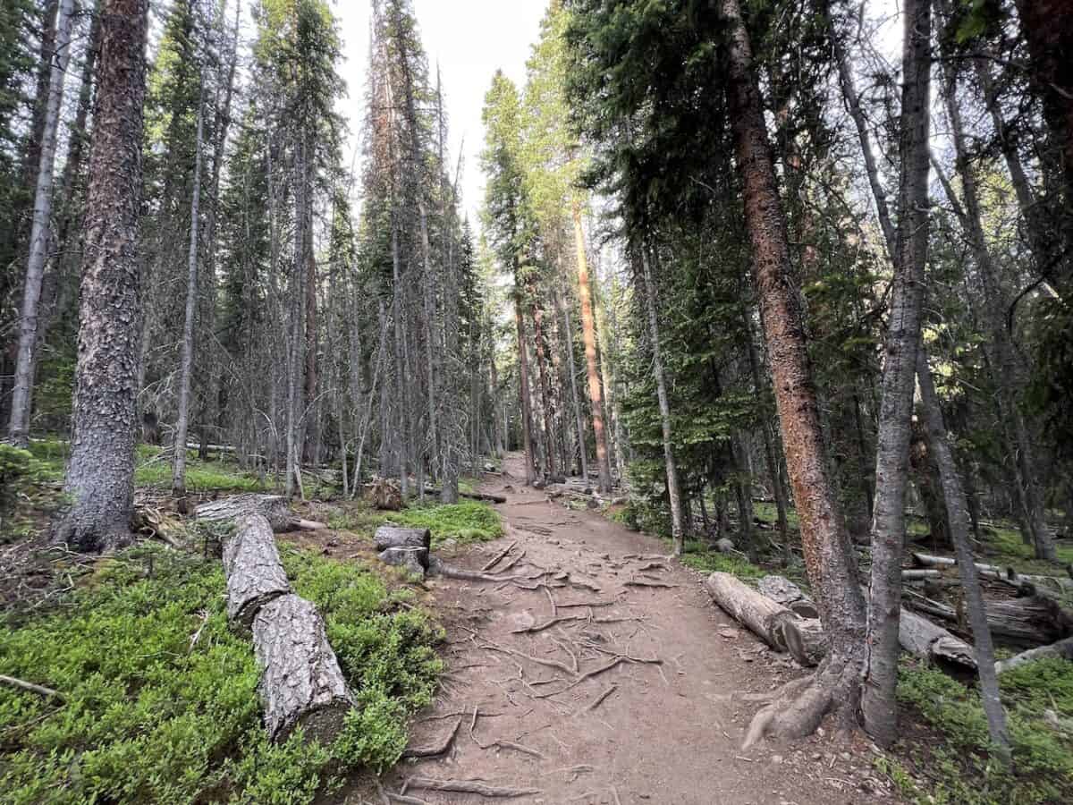 The Mohawk Lakes Trail + Continental Falls (Best Hike in Breckenridge!)