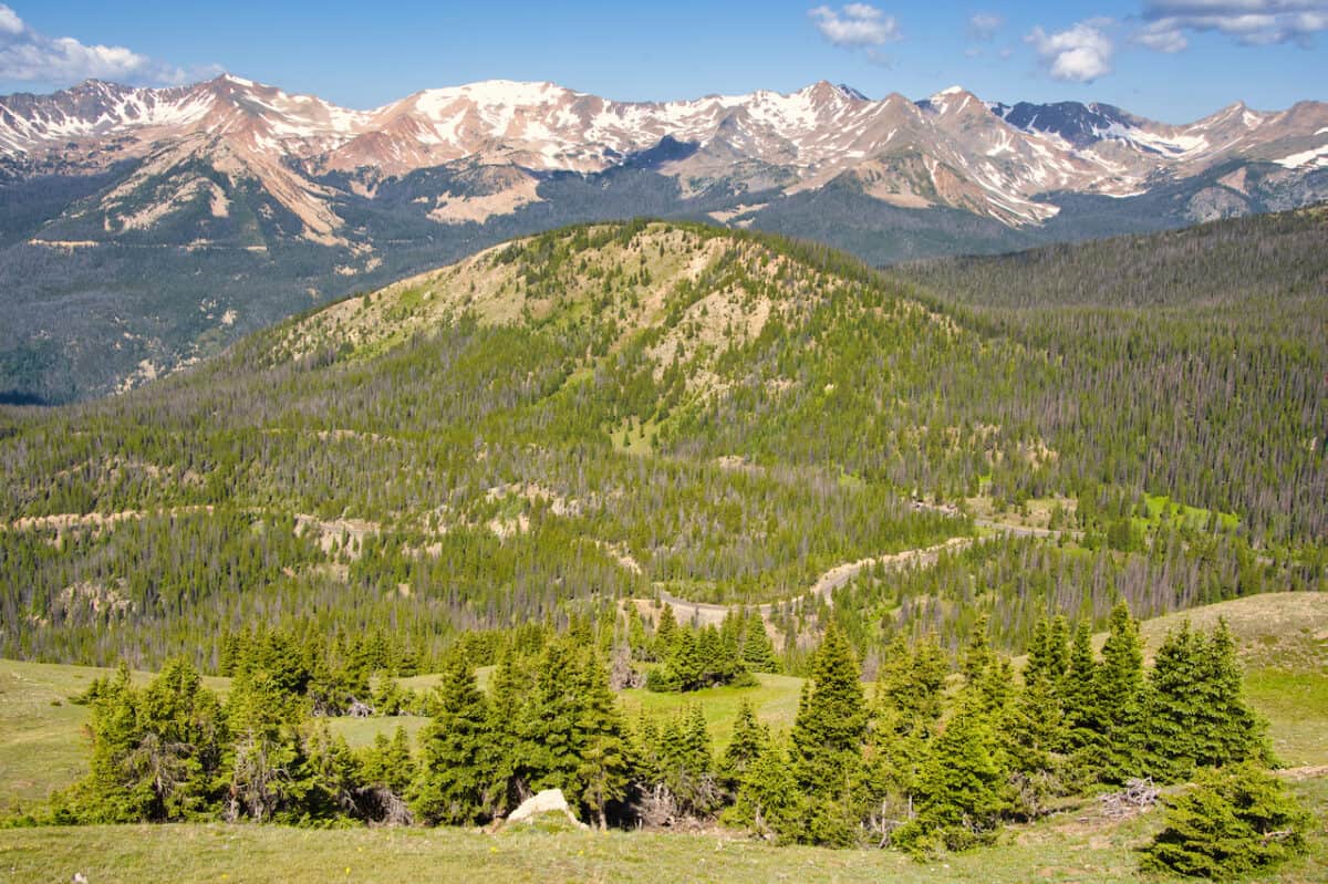 Mount Ida Hike of Rocky Mountain National Park (Continental Divide Trail)