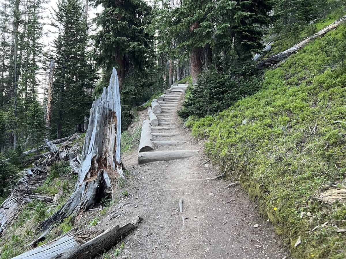 Mount Ida Hike of Rocky Mountain National Park (Continental Divide Trail)
