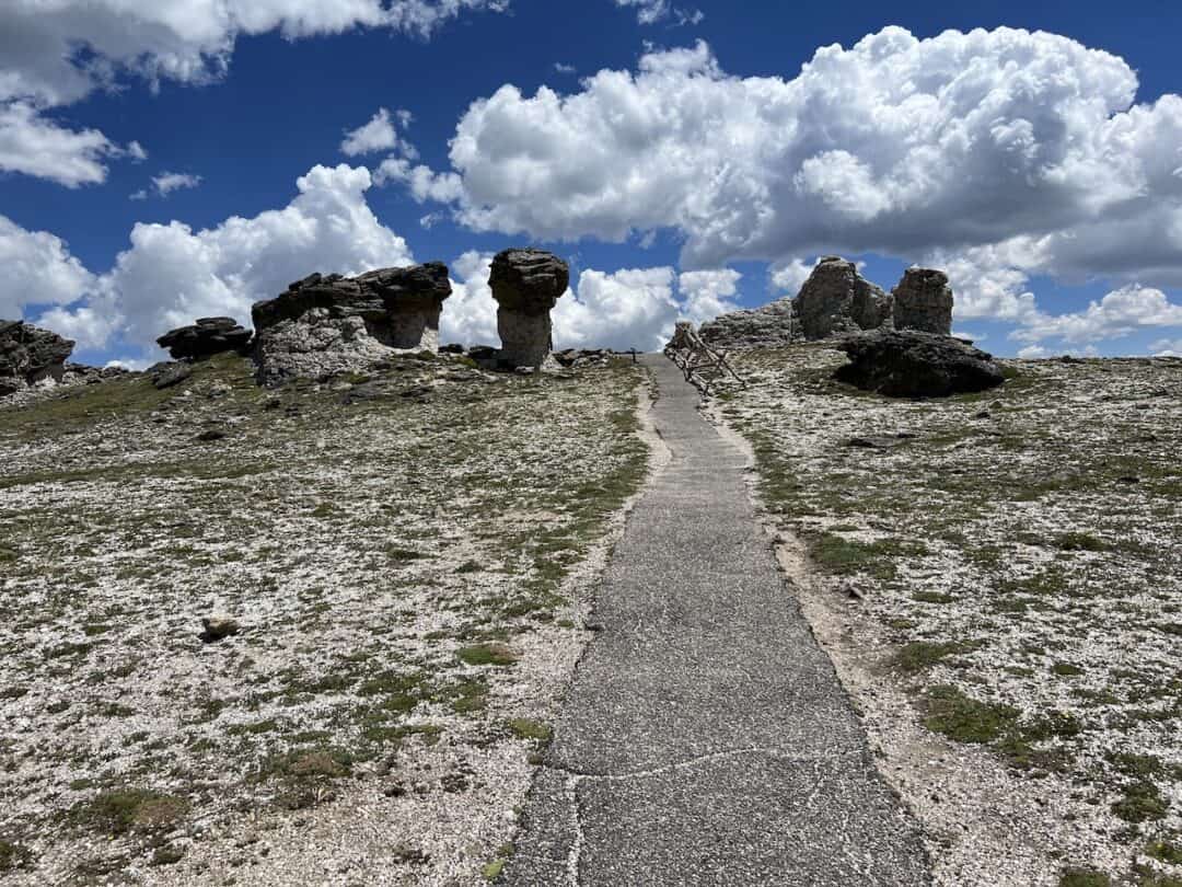 Trail Ridge Road RMNP Complete Guide (Views, Hikes, Map, & More)