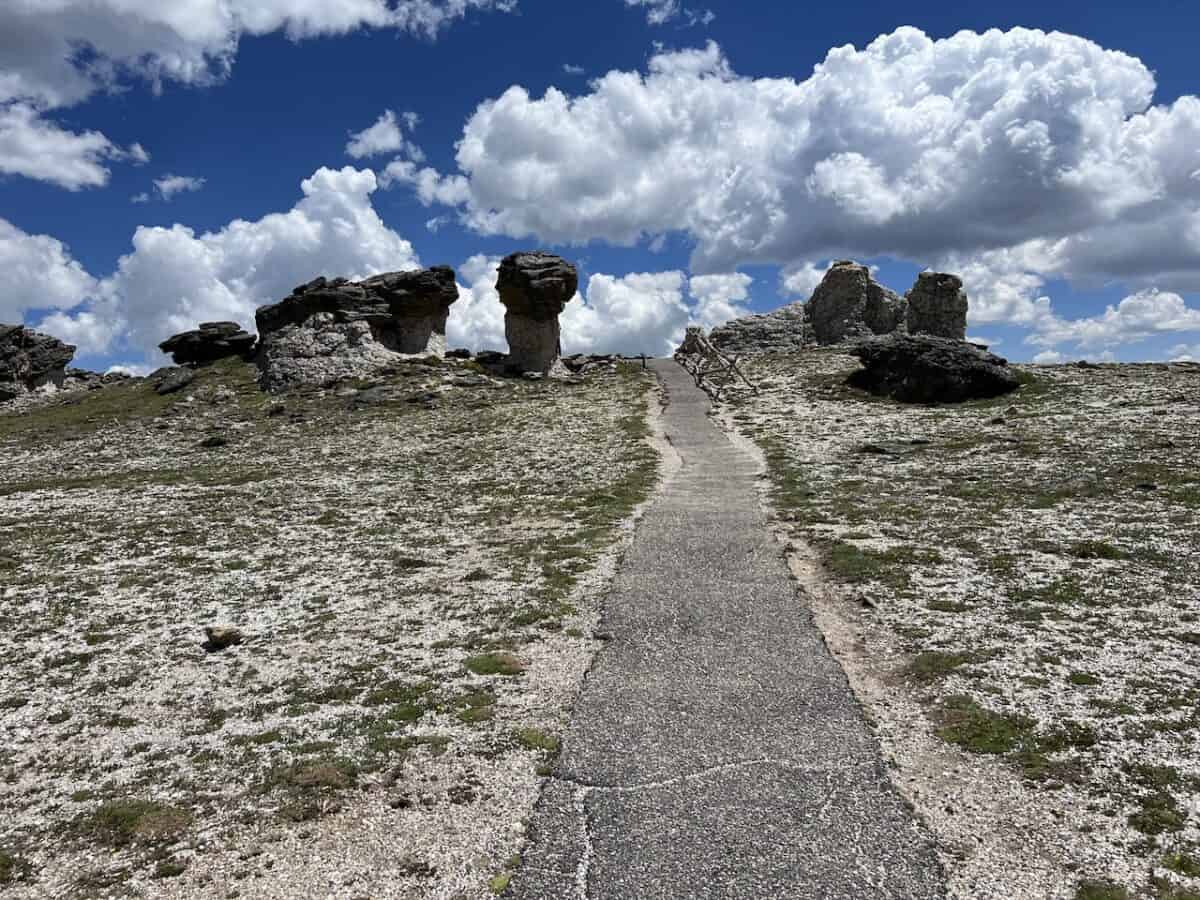 Trail Ridge Road RMNP Complete Guide (Views, Hikes, Map, & More)