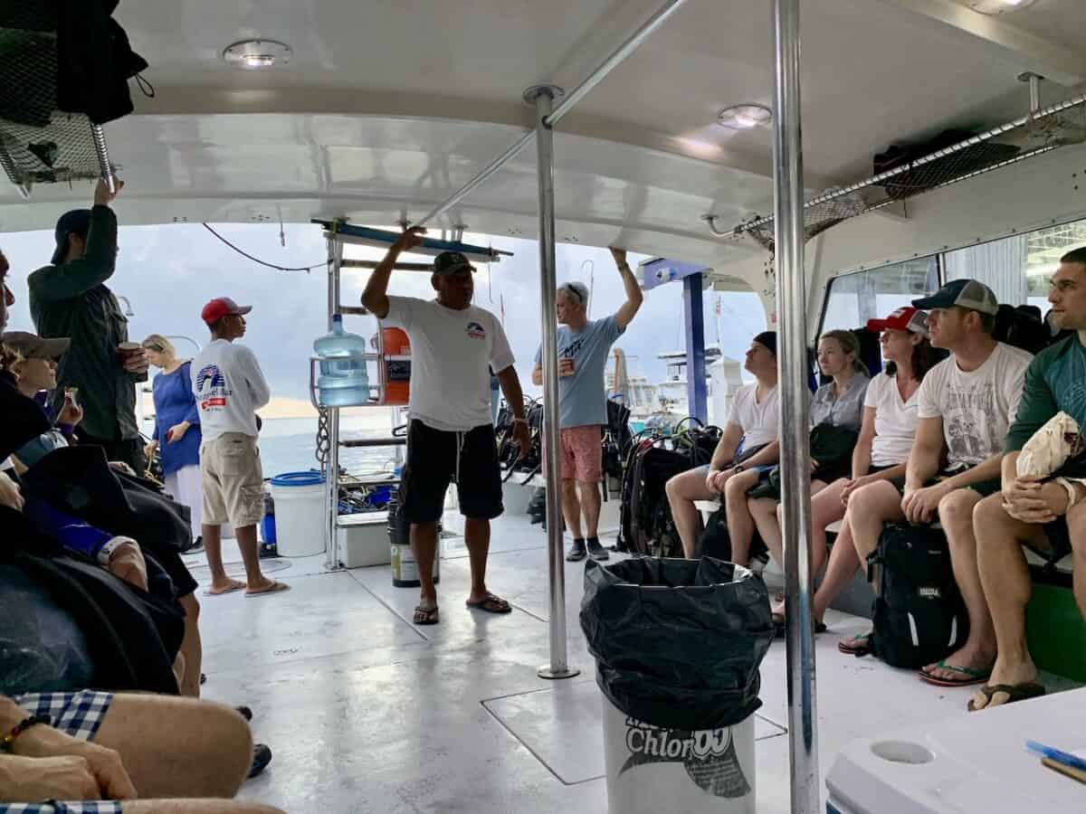 Scuba Diving The Blue Hole in Belize (Overview, Cost, Map & More)