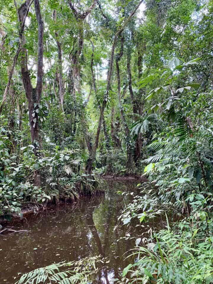 The Best Hikes in Belize (Top Belize Hiking Destinations)