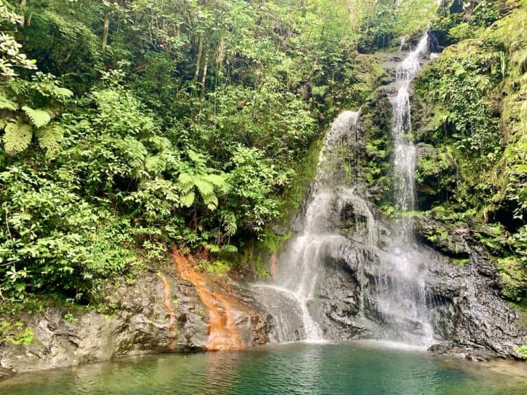 The Best Hikes in Belize (Top Belize Hiking Destinations)